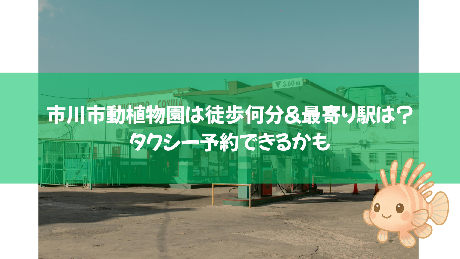 市川市動植物園は徒歩何分&最寄り駅は?ﾀｸｼｰ予約できるかも | minokasa_room